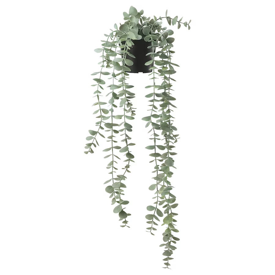Fake Hanging Eucalyptus Plant – Threads at Alliance